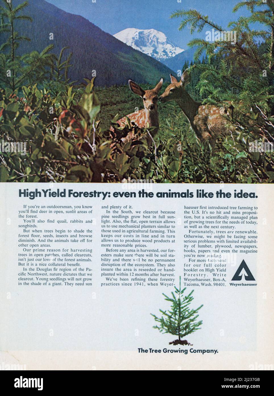 Vintage 25 September 1972 "Sports Illustrated" Advert, USA Stock Photo ...