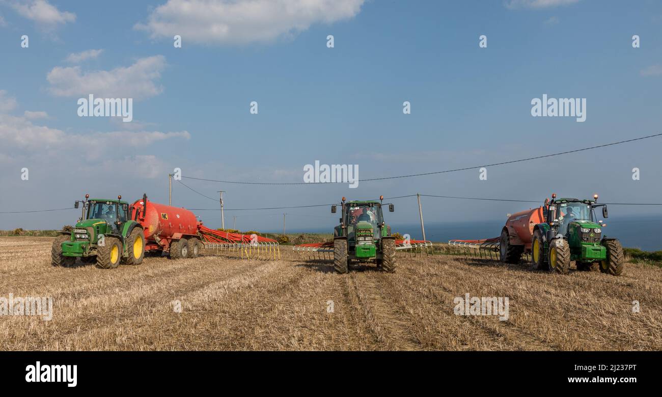 Killian gavin hi-res stock photography and images - Alamy