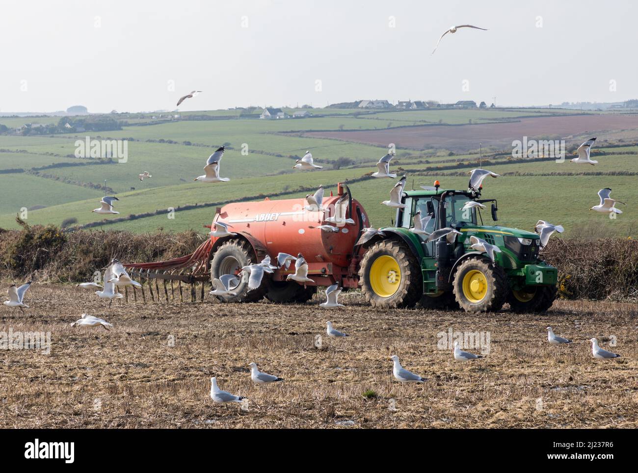 Spreading head hi-res stock photography and images - Alamy