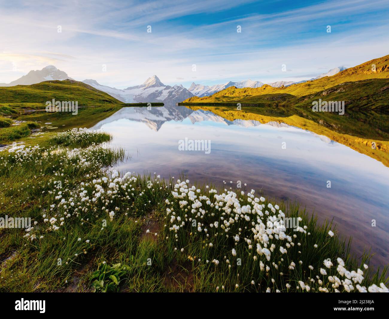Great view of Bernese range above Bachalpsee lake. Dramatic and ...
