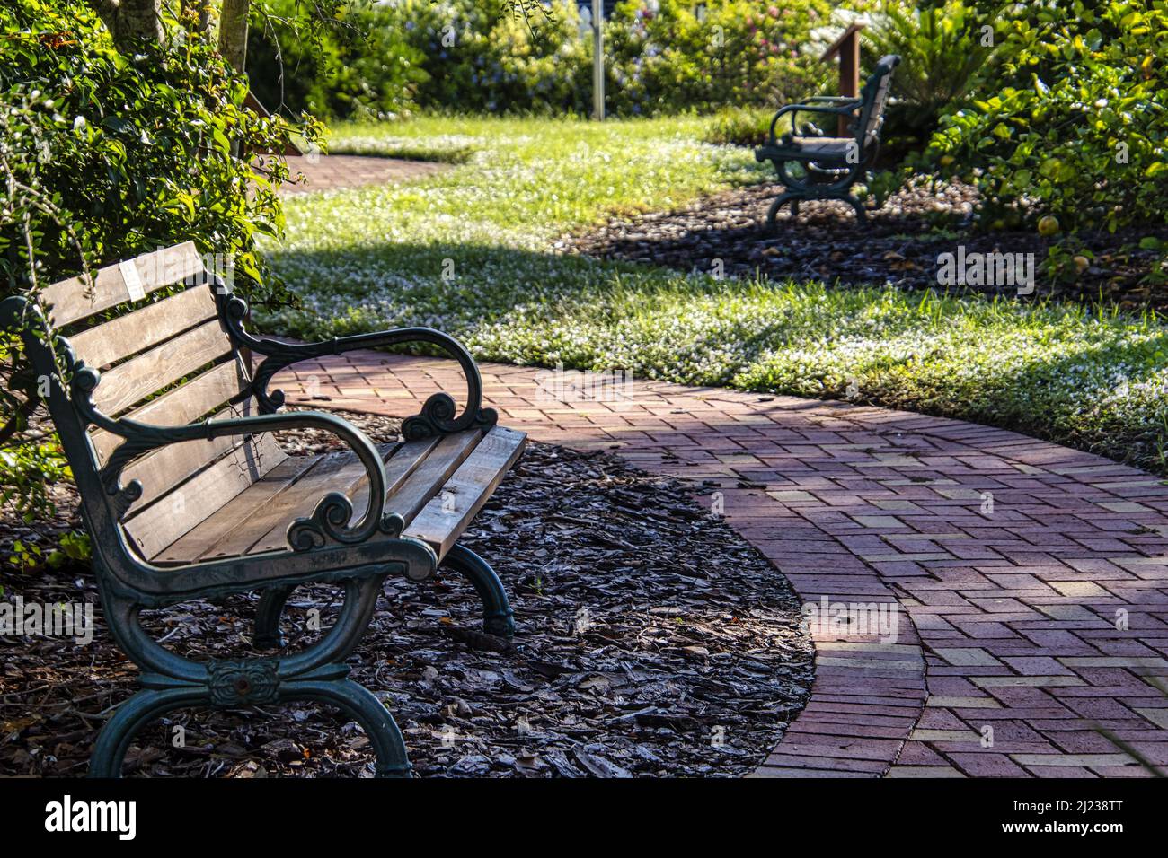 A beautiful bench along a path that goes through a garden of tropical ...