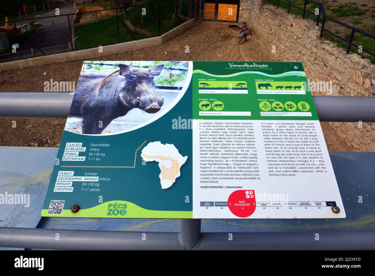 Pecs board hi-res stock photography and images - Alamy