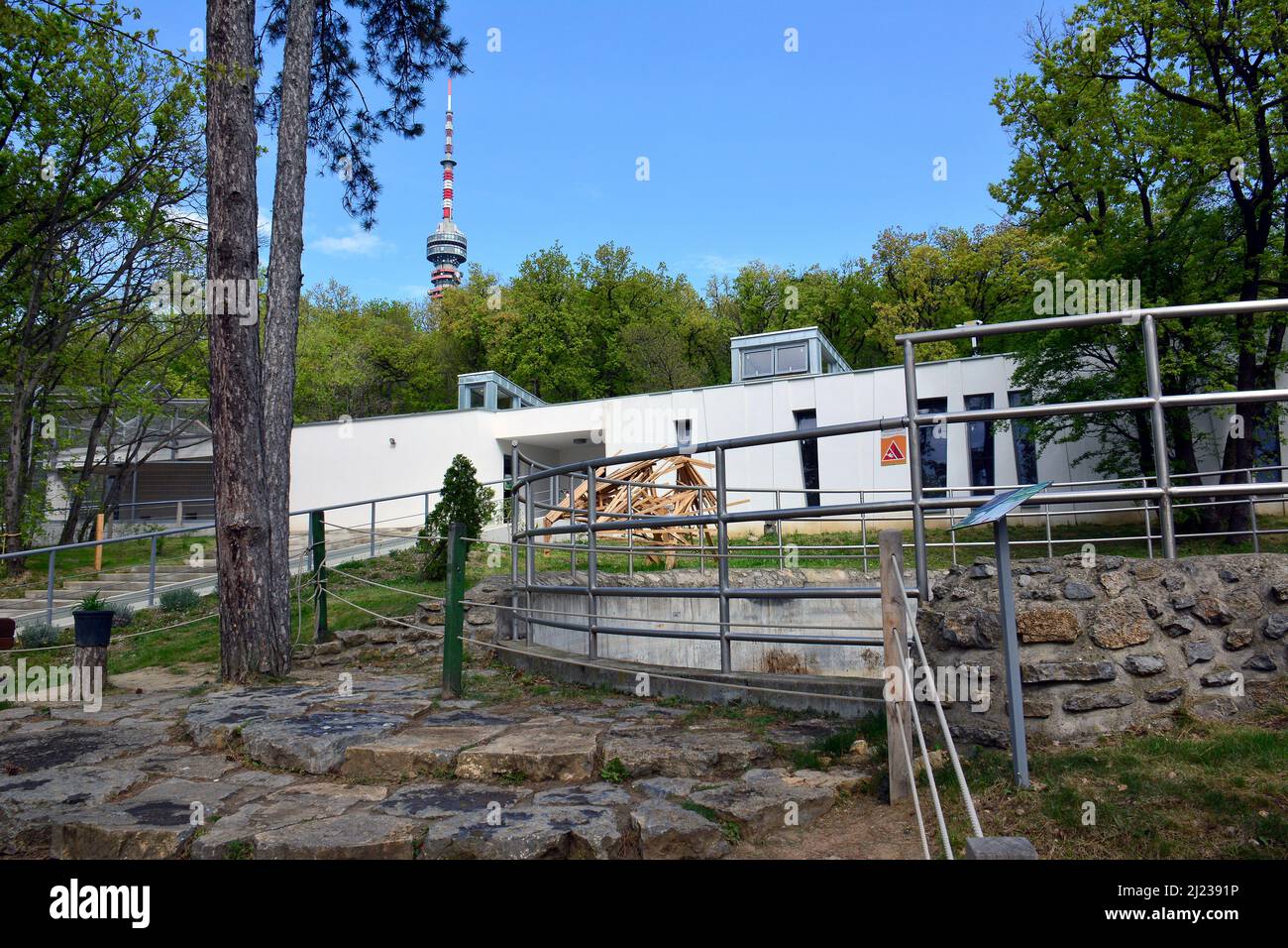 Pecs zoo hi-res stock photography and images - Alamy