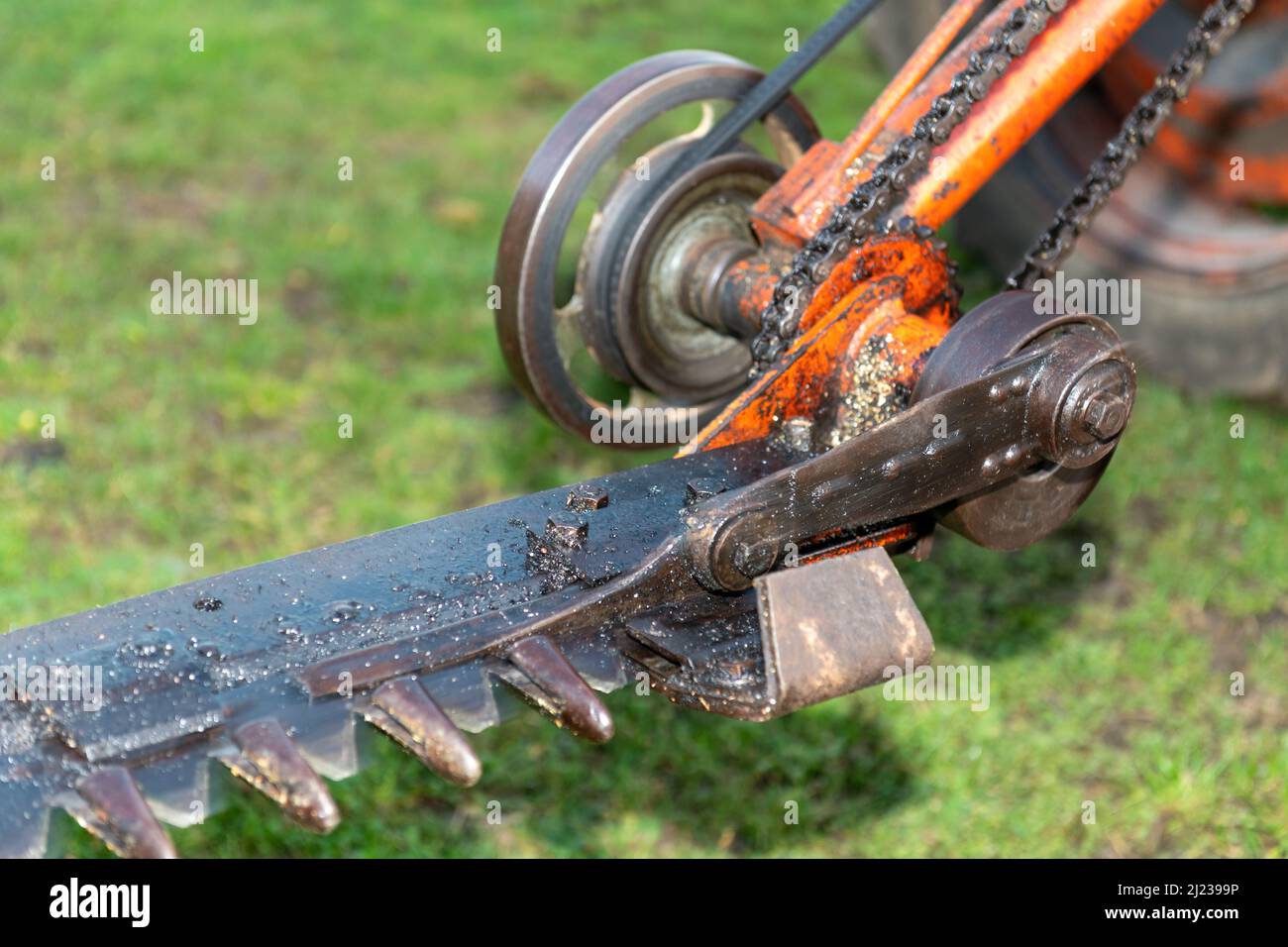 Cutter bar hedge trimmer hi-res stock photography and images - Alamy