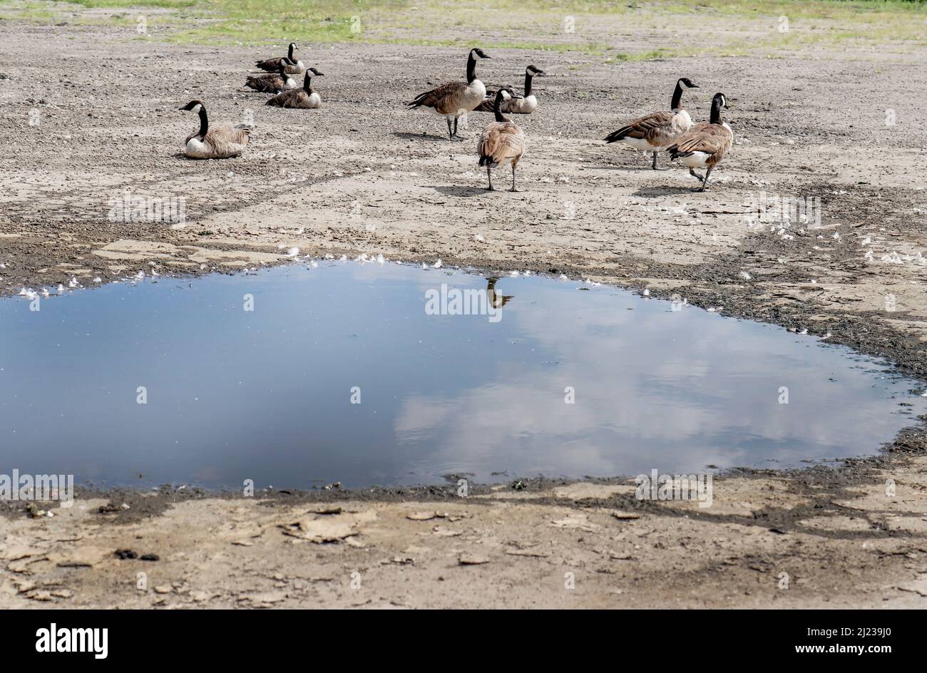 People standing around earth hi-res stock photography and images - Alamy