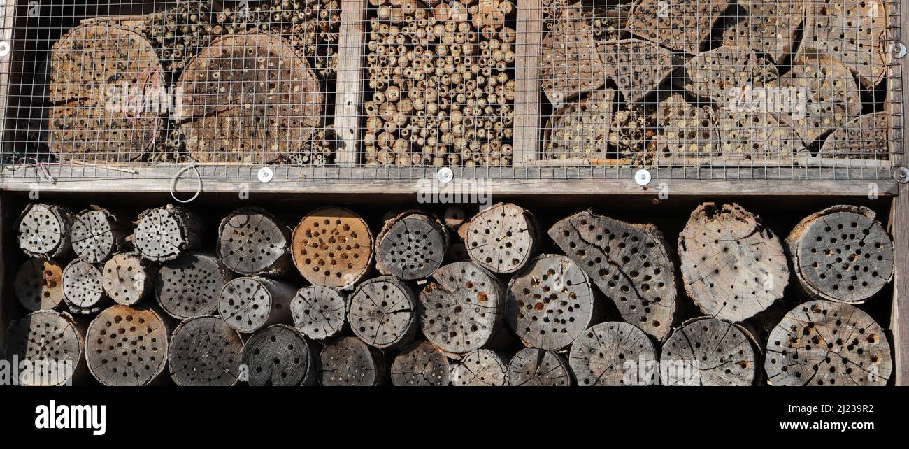 Insect hotel in a meadow hi-res stock photography and images - Alamy