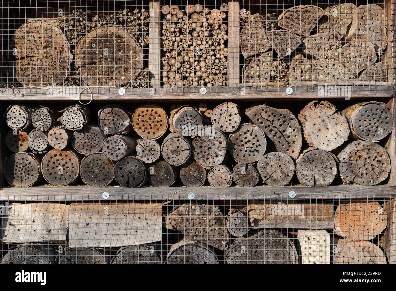 Build a bug hotel hi-res stock photography and images - Alamy