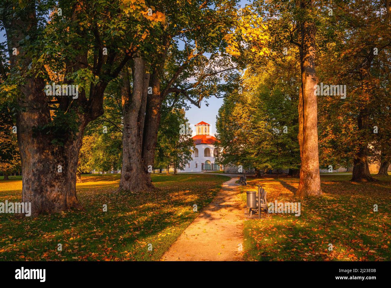 Autumn landscape, a park with sidewalk and benches at sunset.Budatin ...