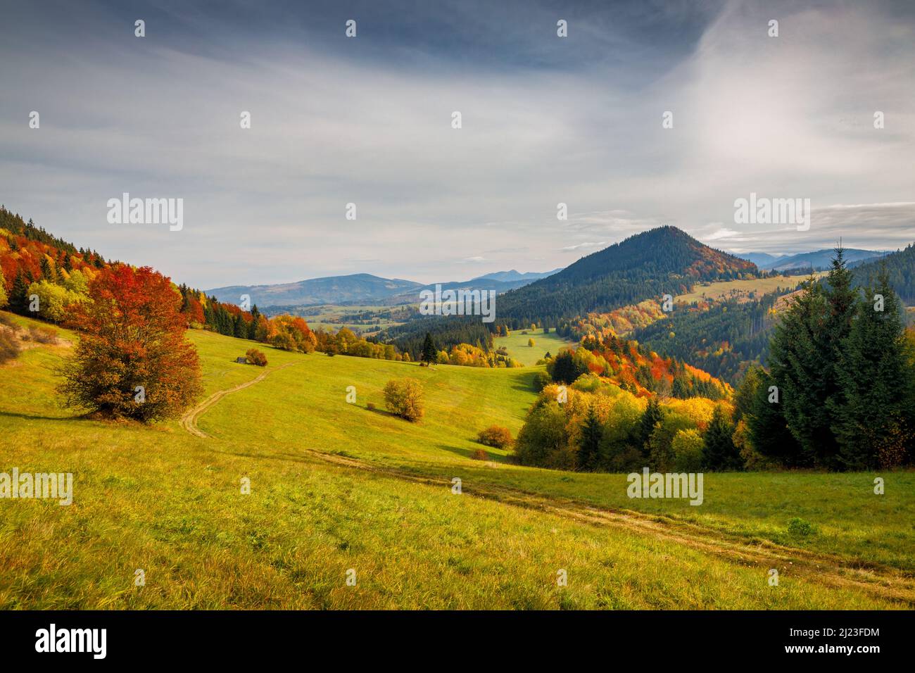 Autumn landscape with brightly colored trees and hills in the ...