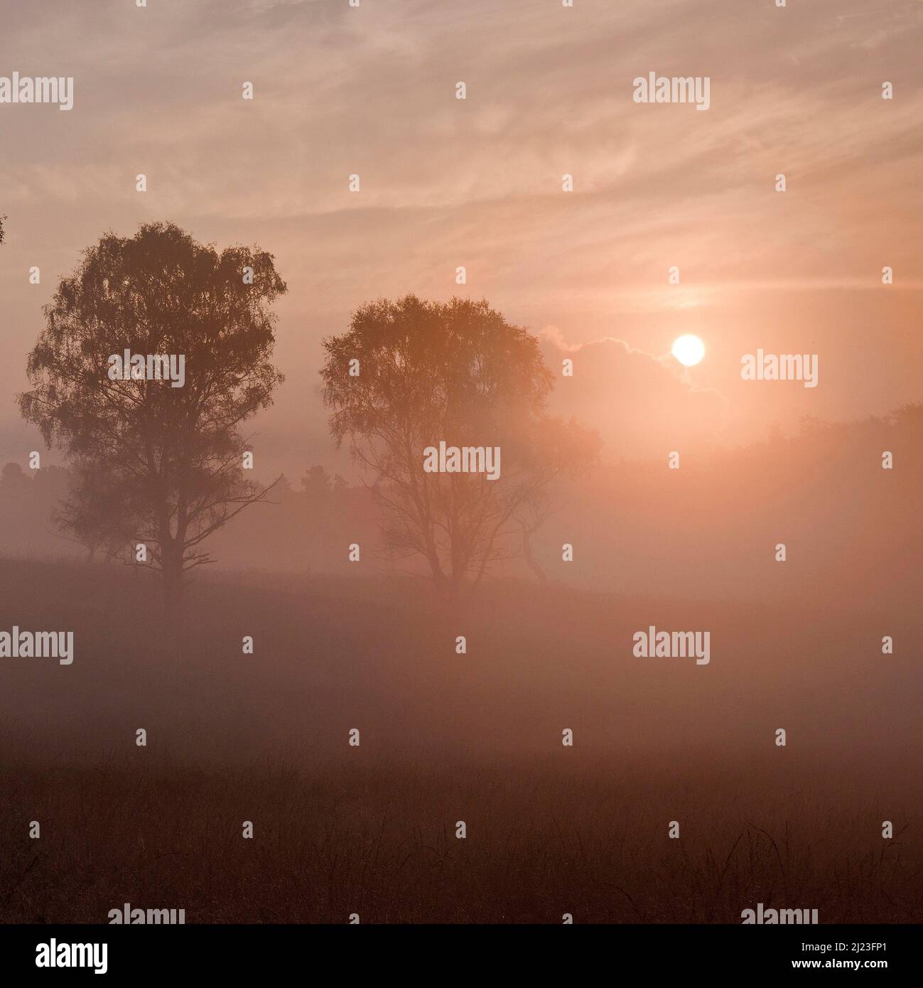 Mist early hi-res stock photography and images - Alamy