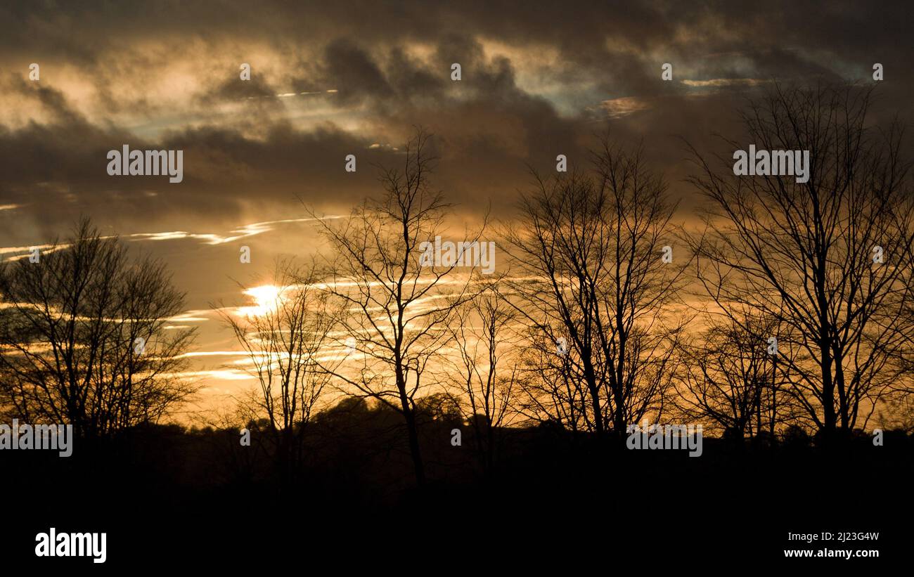 Sunset at Castle Ring on Cannock Chase an Area of Outstanding Natural ...