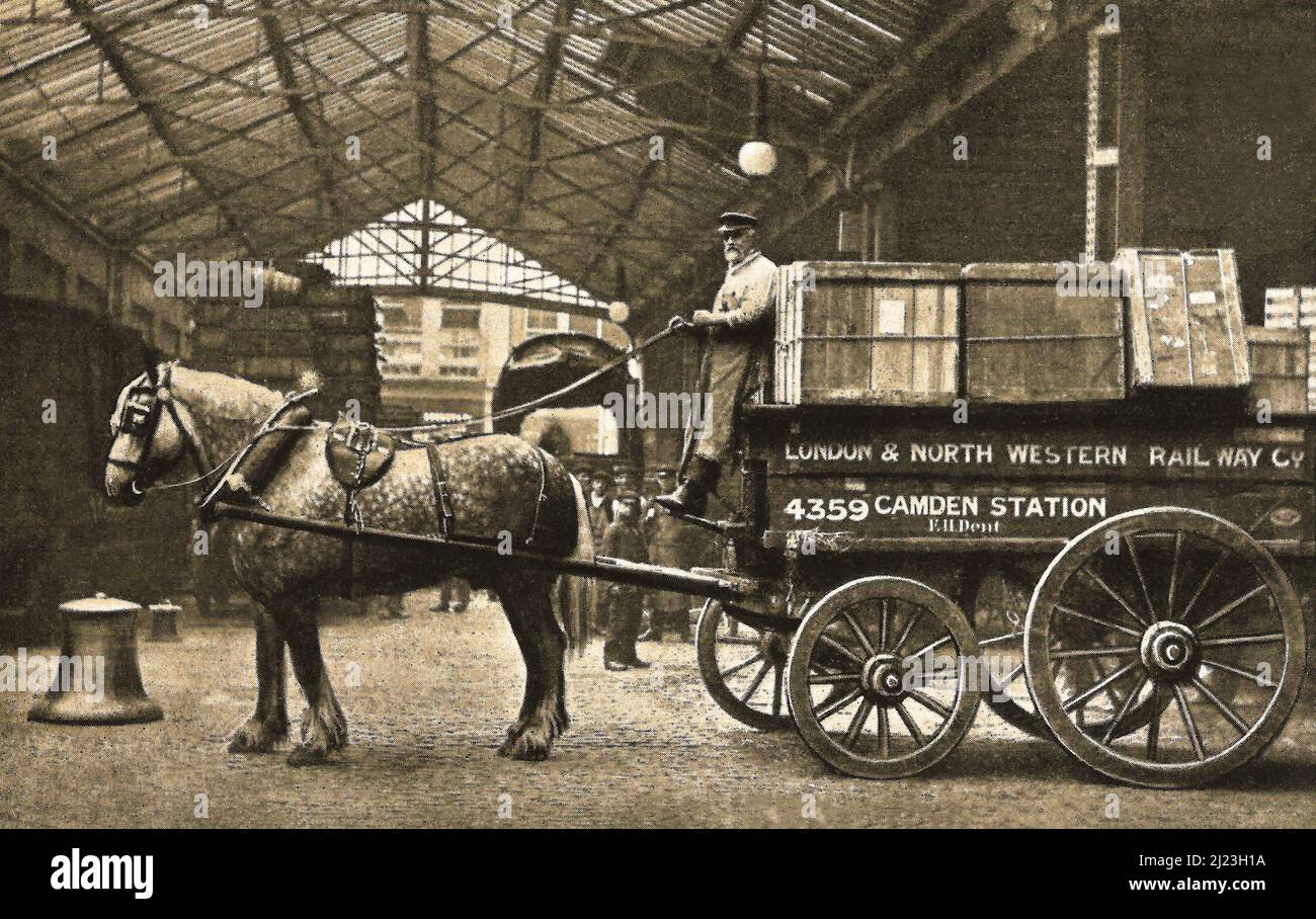 Manchester horse farm hi-res stock photography and images - Alamy