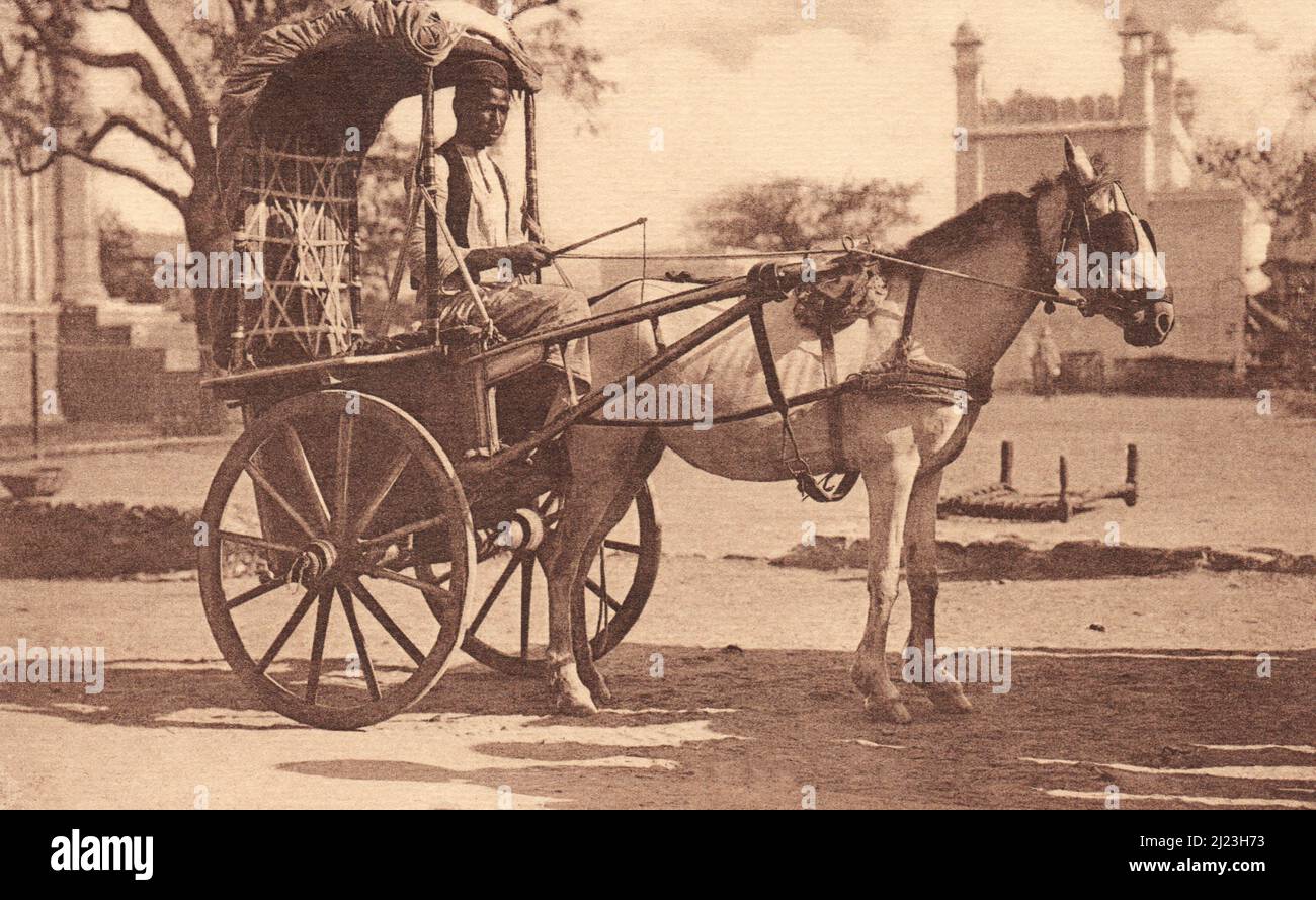 Indian pony hi-res stock photography and images - Alamy