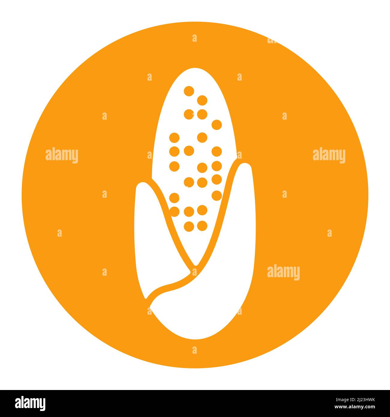 Corncob isolated glyph icon. Agriculture sign. Graph symbol for your ...