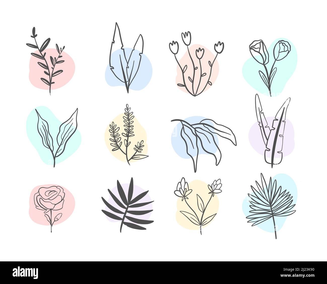 Single line flowers set. Trendy spring collection of wildflowers ...