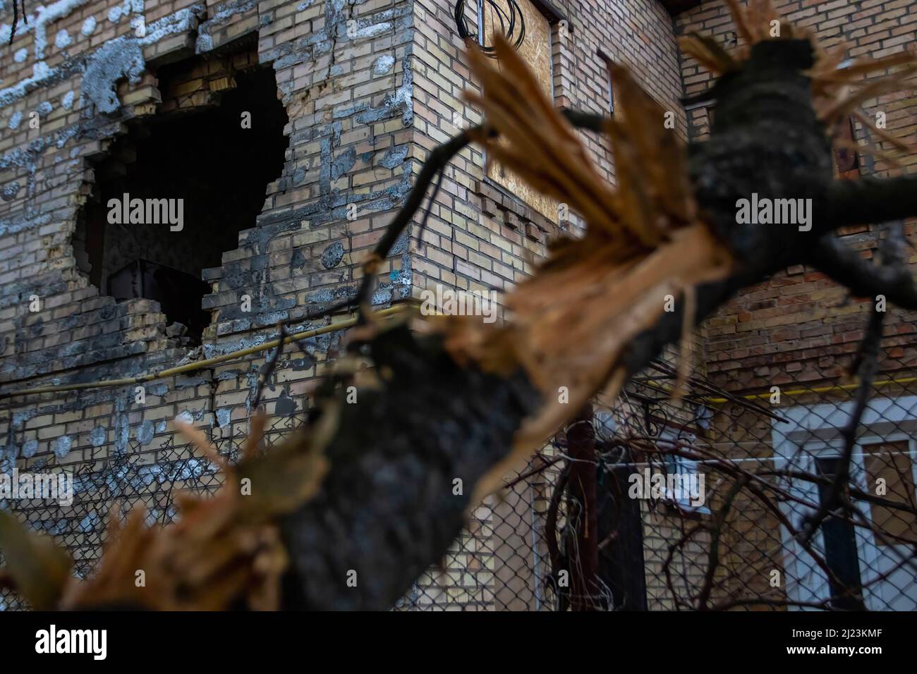 Boyarka, Ukraine. 29th Mar, 2022. A home and tree damaged by a Russian ...
