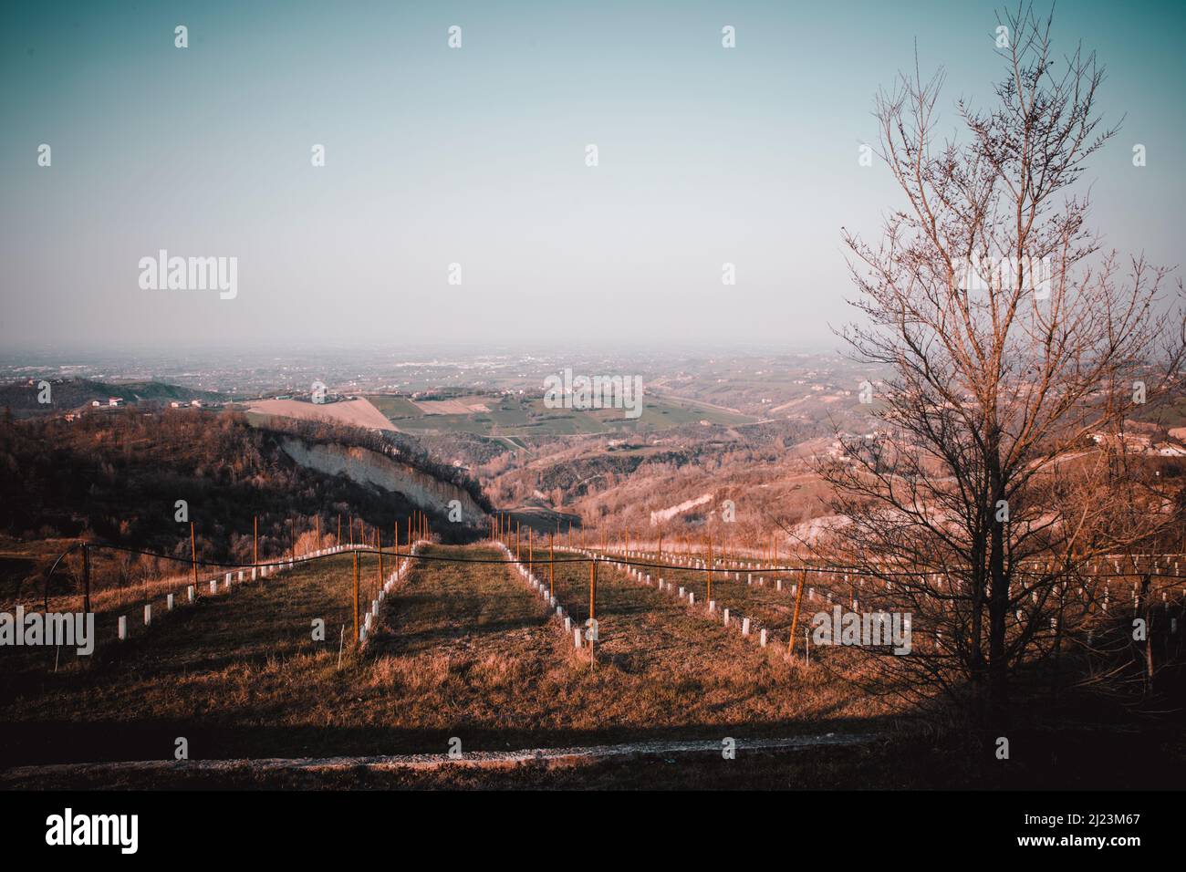 Castelvetro di italy hi-res stock photography and images - Alamy