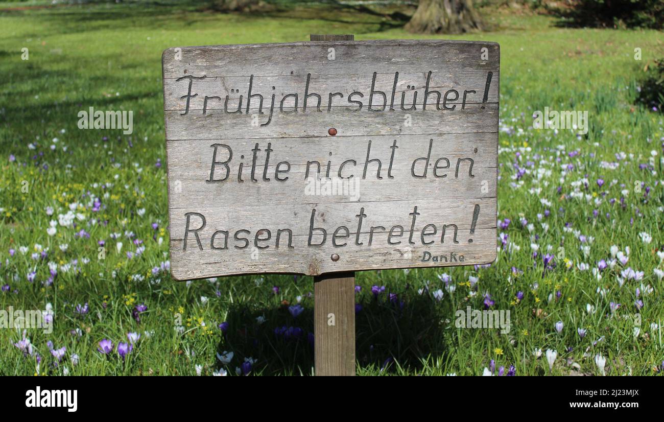 A sign in German with the text spring bloomers, please do not step on ...