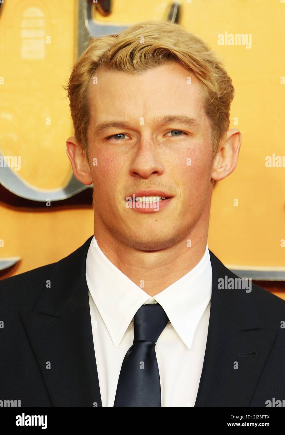 Callum Turner, Fantastic Beasts: The Secrets of Dumbledore - World ...