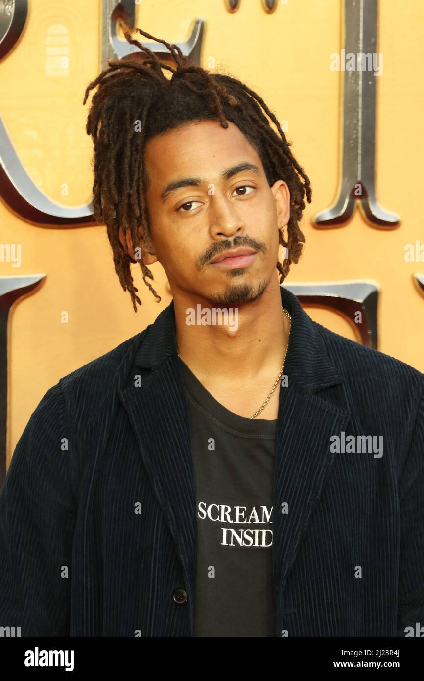 Jordan Stephens, Fantastic Beasts: The Secrets of Dumbledore - World ...