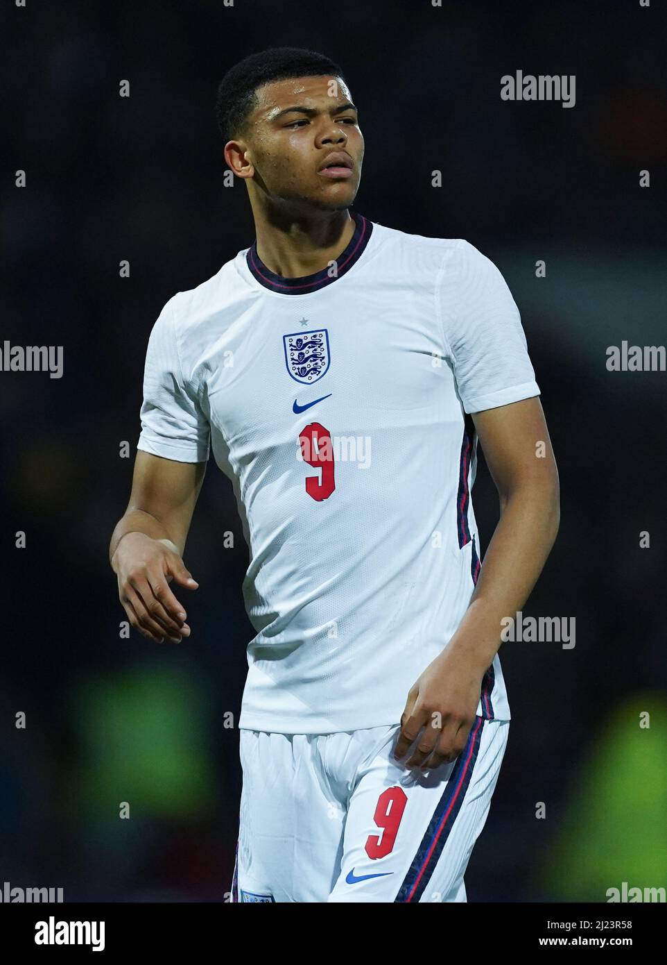 Dane scarlett hi-res stock photography and images - Alamy