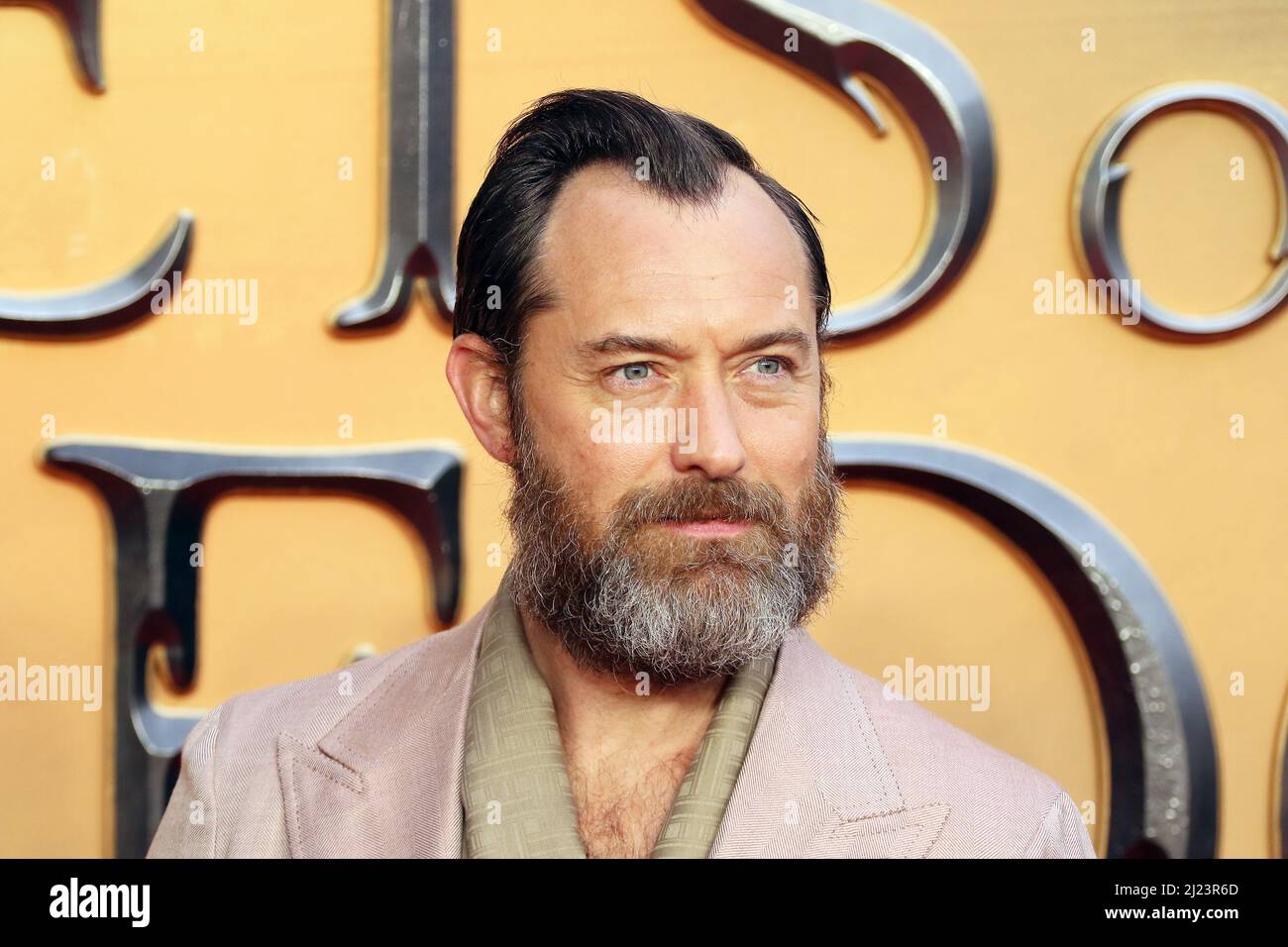 Jude hall hi-res stock photography and images - Alamy