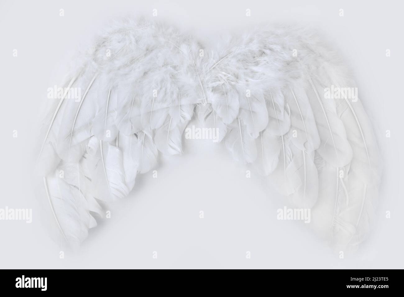 Swan angel wings hi-res stock photography and images - Alamy