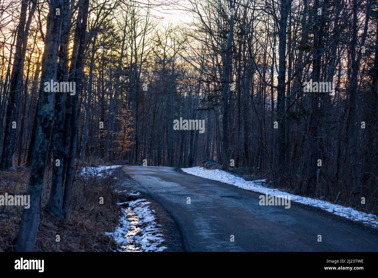 Early morning sun over winter road through dark woods Stock Photo - Alamy