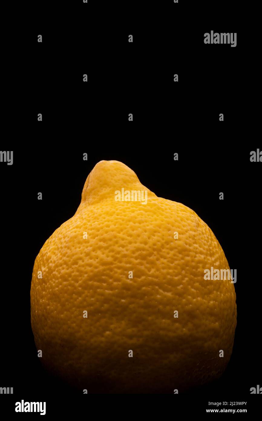 Macro photography of a yellow lemon on a black background Stock Photo ...