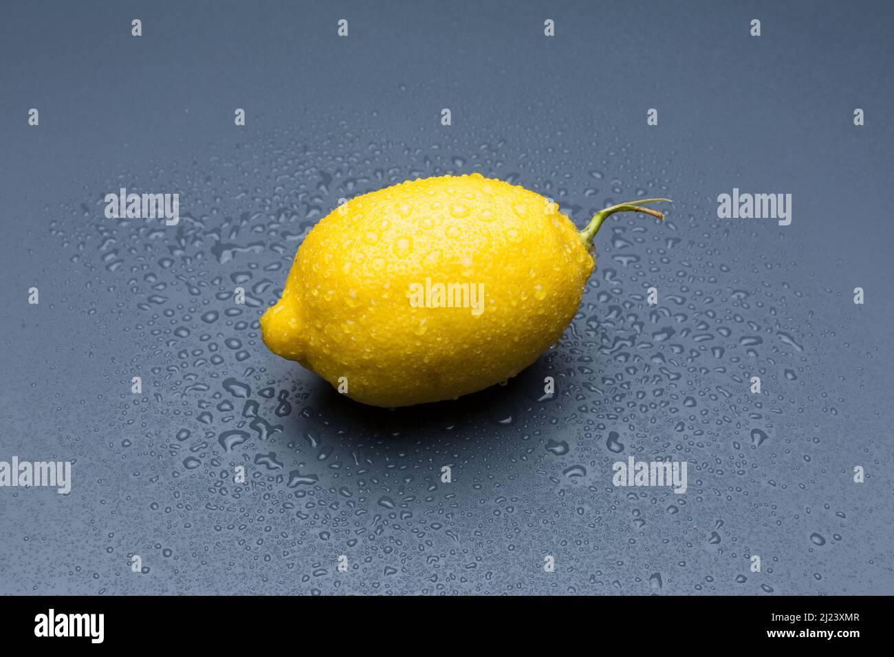 yellow lemon on gray background, composition of lemons and green leaves ...