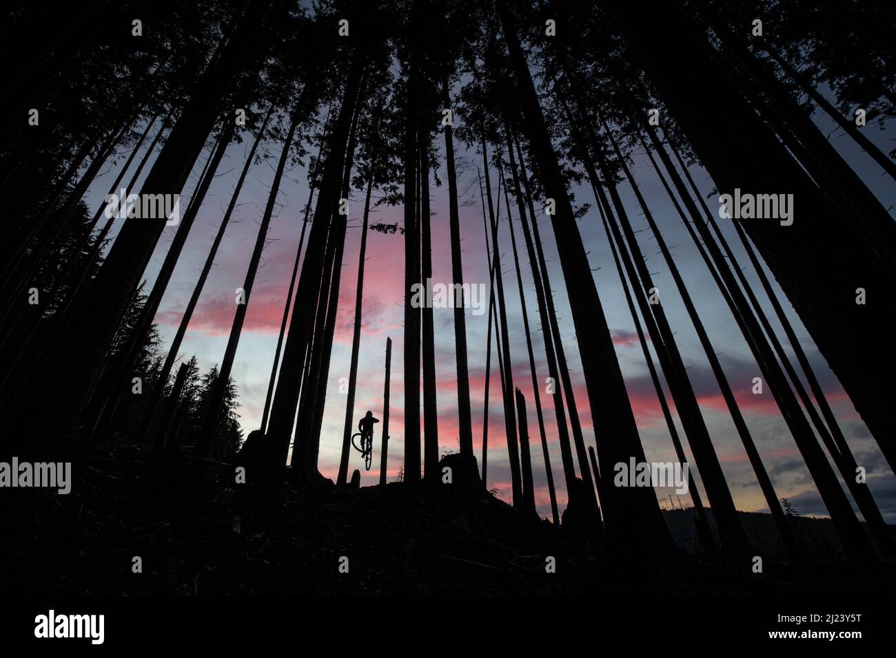 Sunset Mountain Biking Washington PNW Stock Photo - Alamy