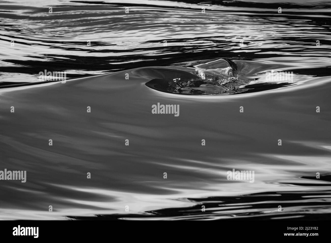 Water Fine Art Shapes in River Water Flow Washington PNW Stock Photo ...