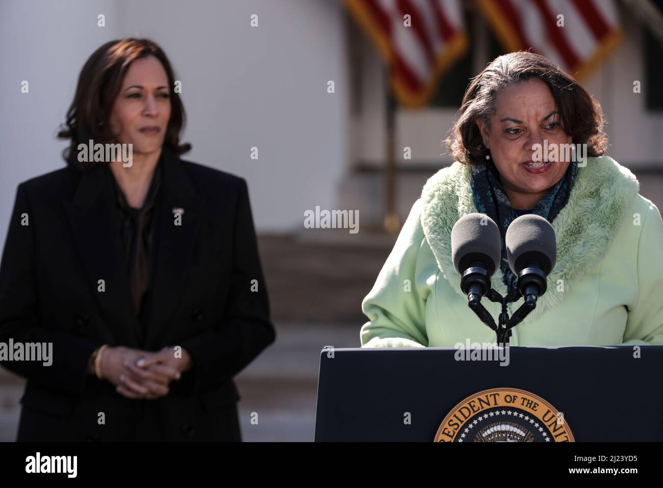 Michelle Duster the great-granddaughter of Ida B. Wells speaks after ...