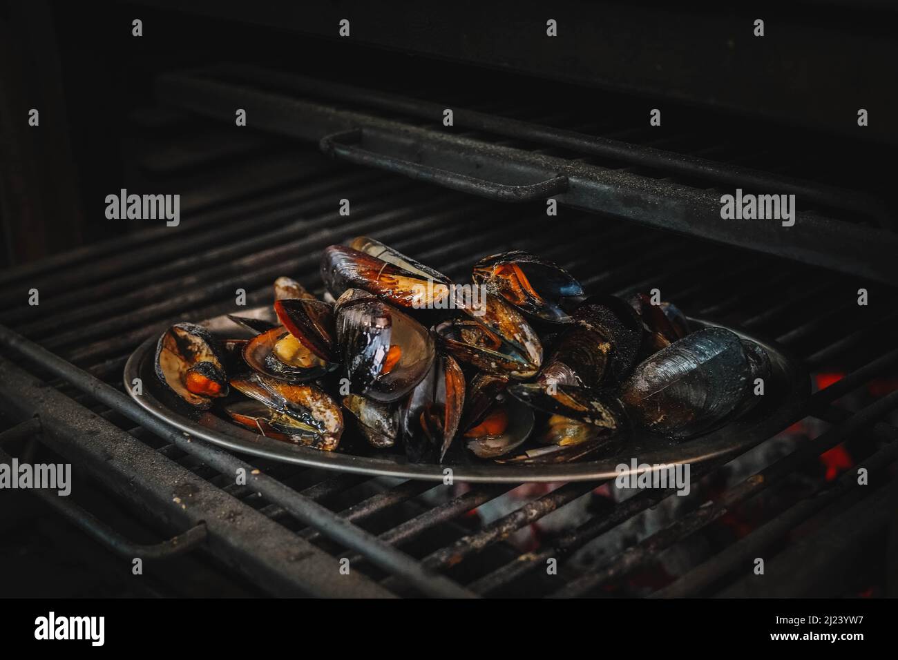 Flame mussel hi-res stock photography and images - Alamy