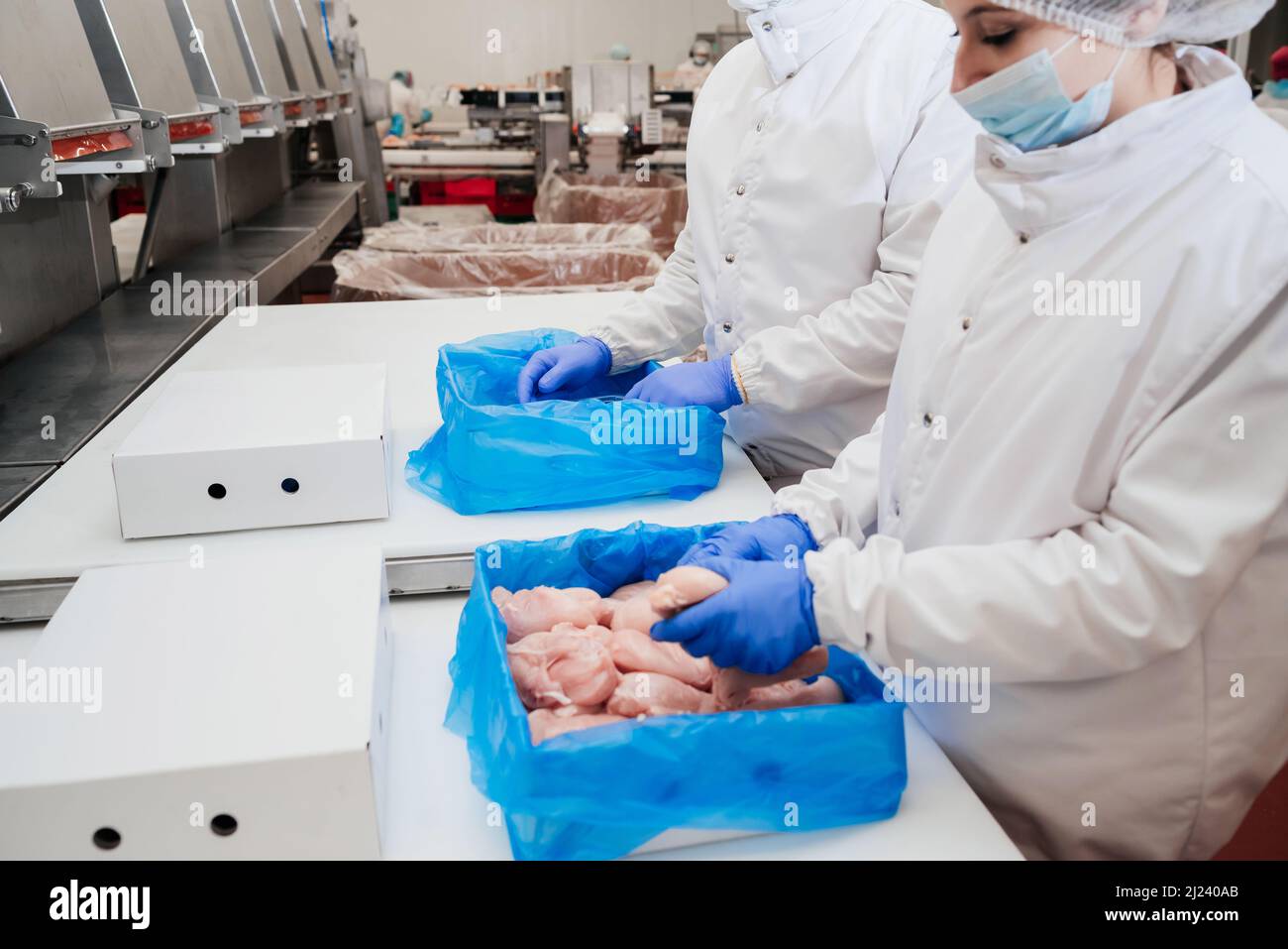 Modern poultry processing plant.Line for the production of semi ...