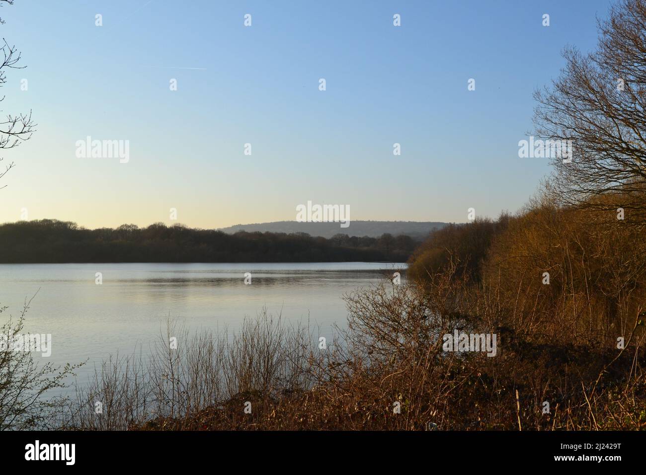 Bough Beech nature reserve, Kent, on a beautiful early spring day in ...