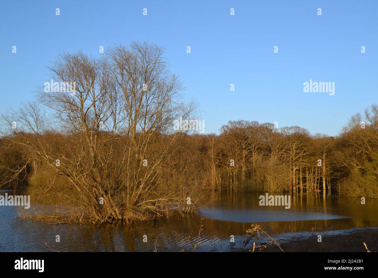 Beautiful weather in march hi-res stock photography and images - Alamy