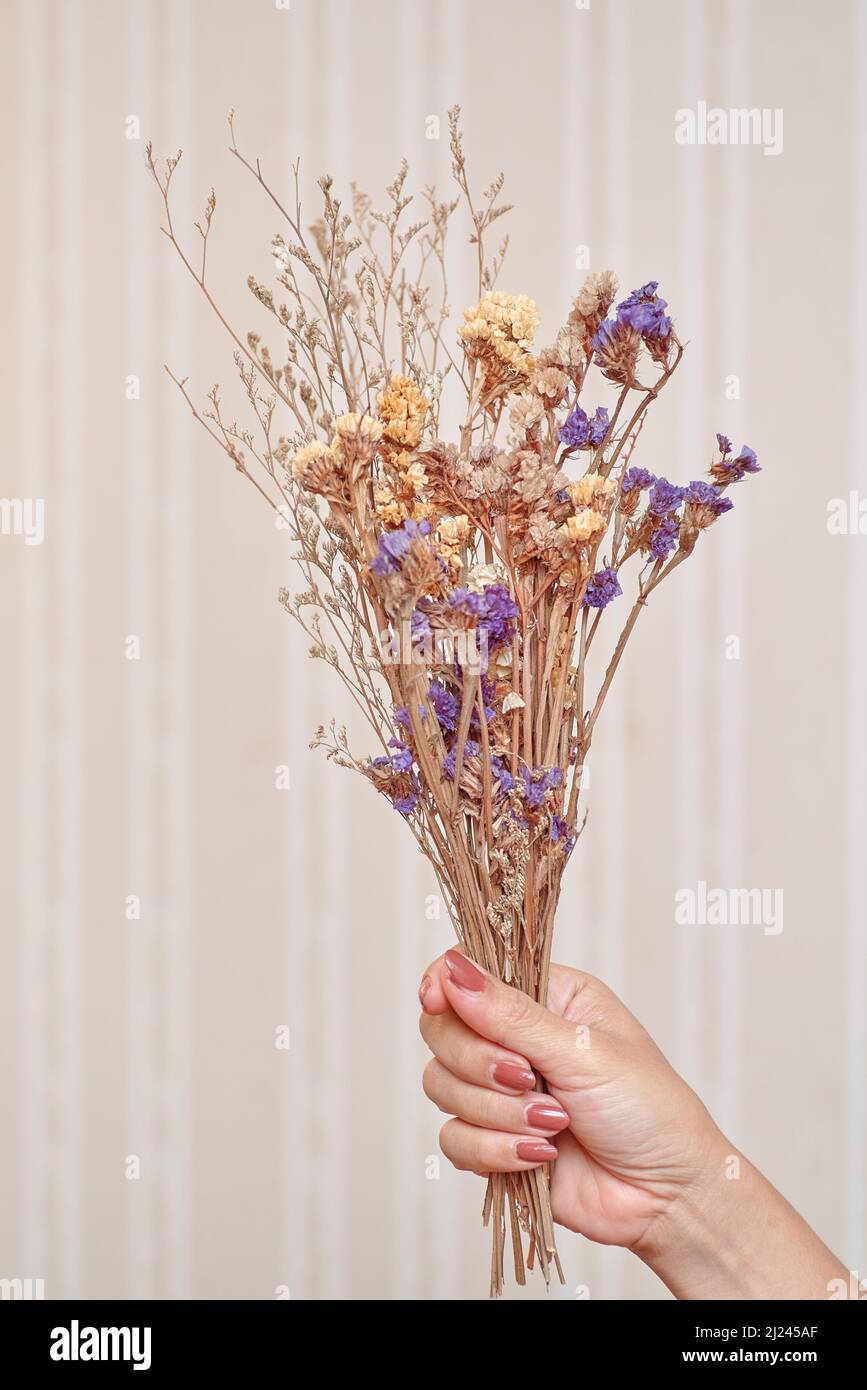 Hand giving flower hi-res stock photography and images - Alamy