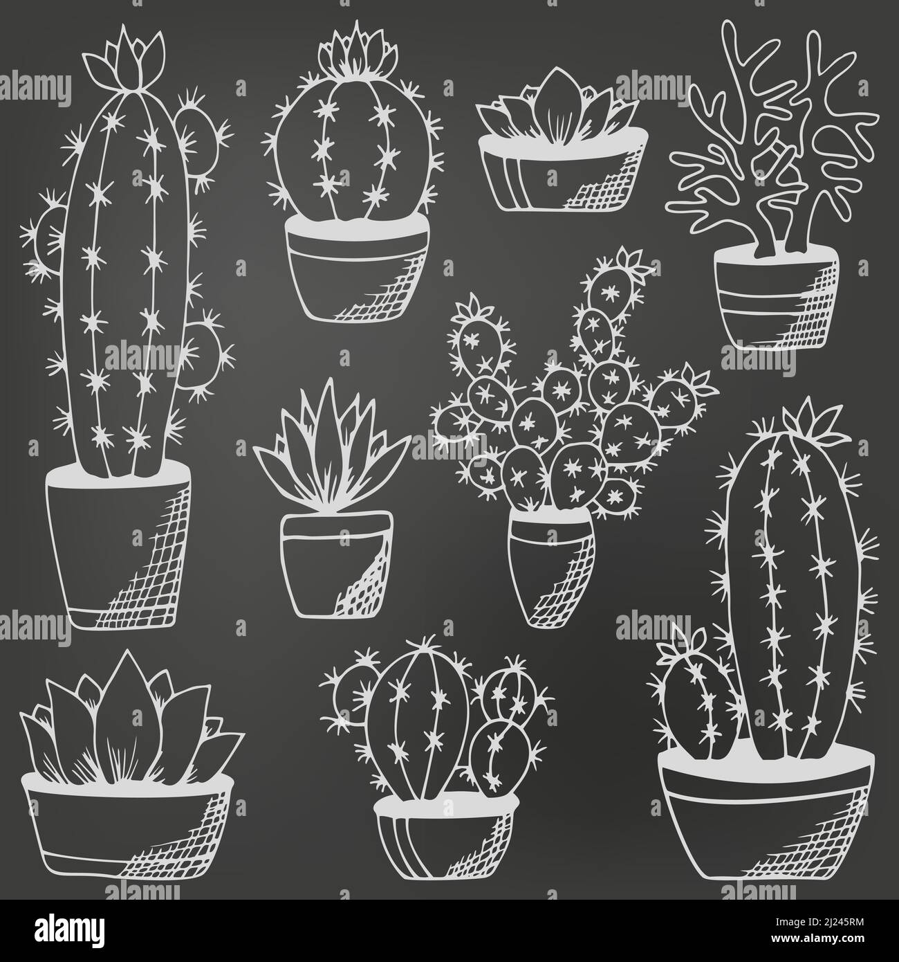 Cactus and succulents set on chalkboard. Hand drawn plants in flower ...