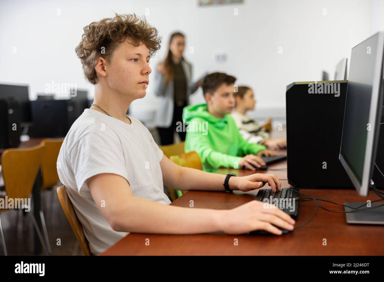 Interested teenage student during lesson in computer class Stock Photo ...