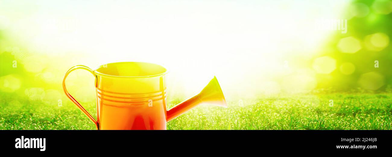 Spring flowers in watering can. Gardening tools and equipment Stock ...