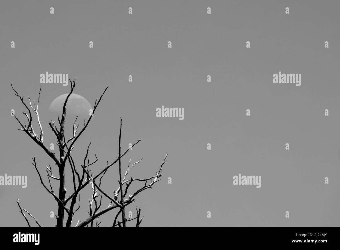 Beauty of moon hi-res stock photography and images - Alamy