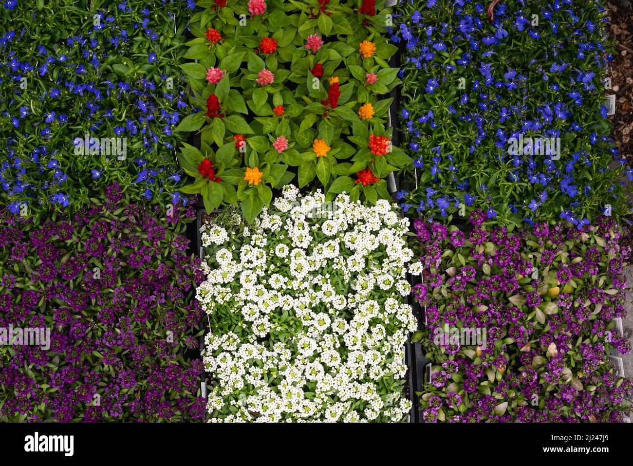 Spring scenes around lower Manhattan, New York City Stock Photo - Alamy