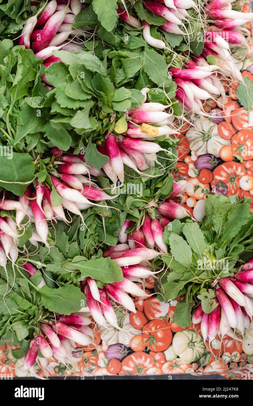 Spring scenes around lower Manhattan, New York City Stock Photo - Alamy