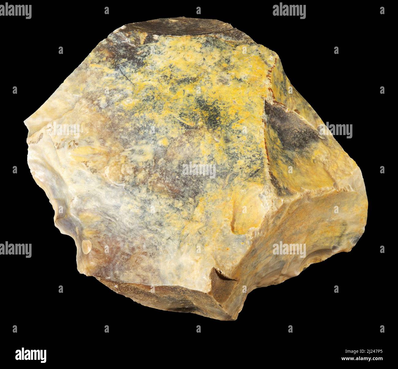 Biochemical Sedimentary Rocks