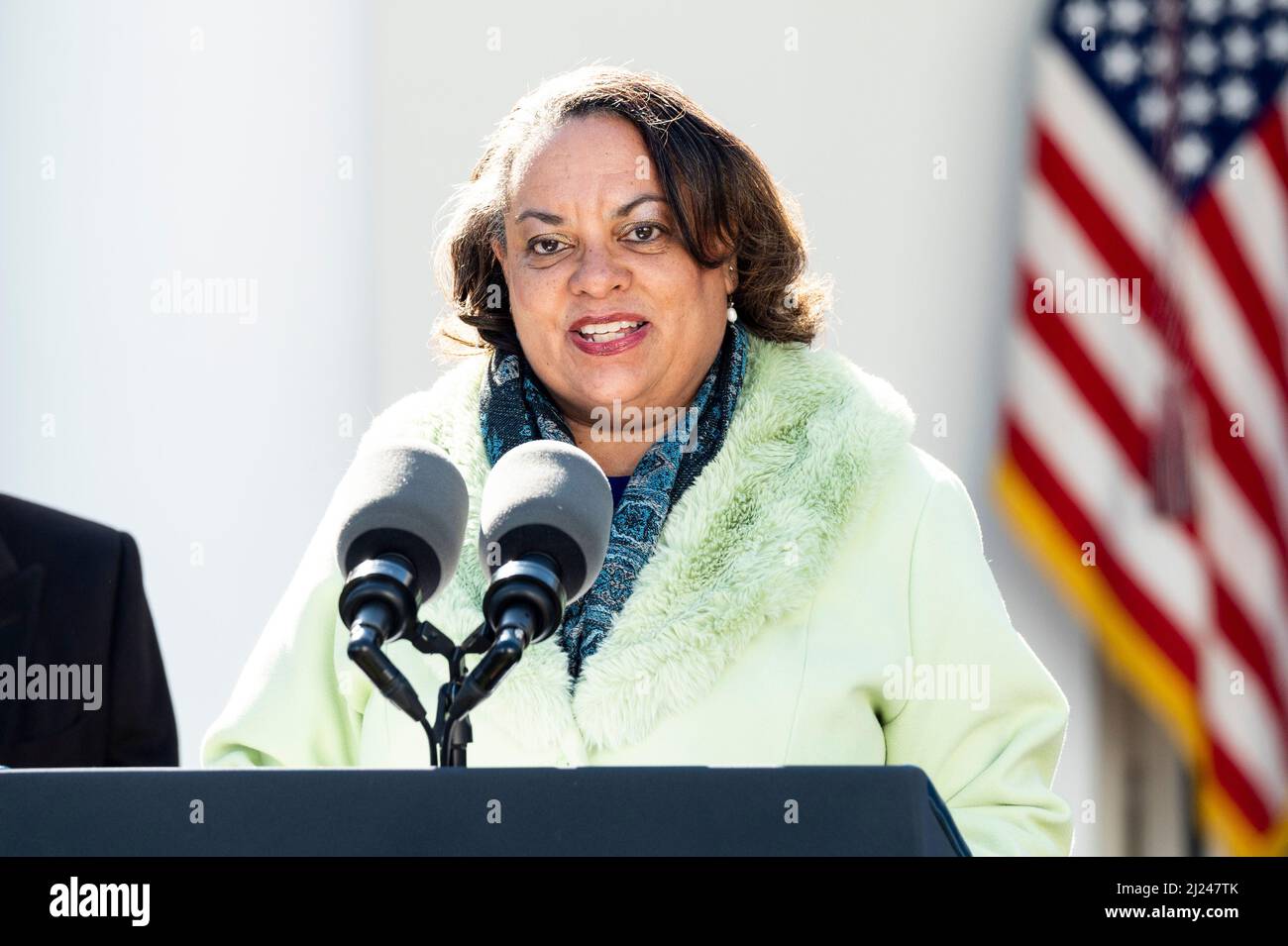 Michelle duster hi-res stock photography and images - Alamy