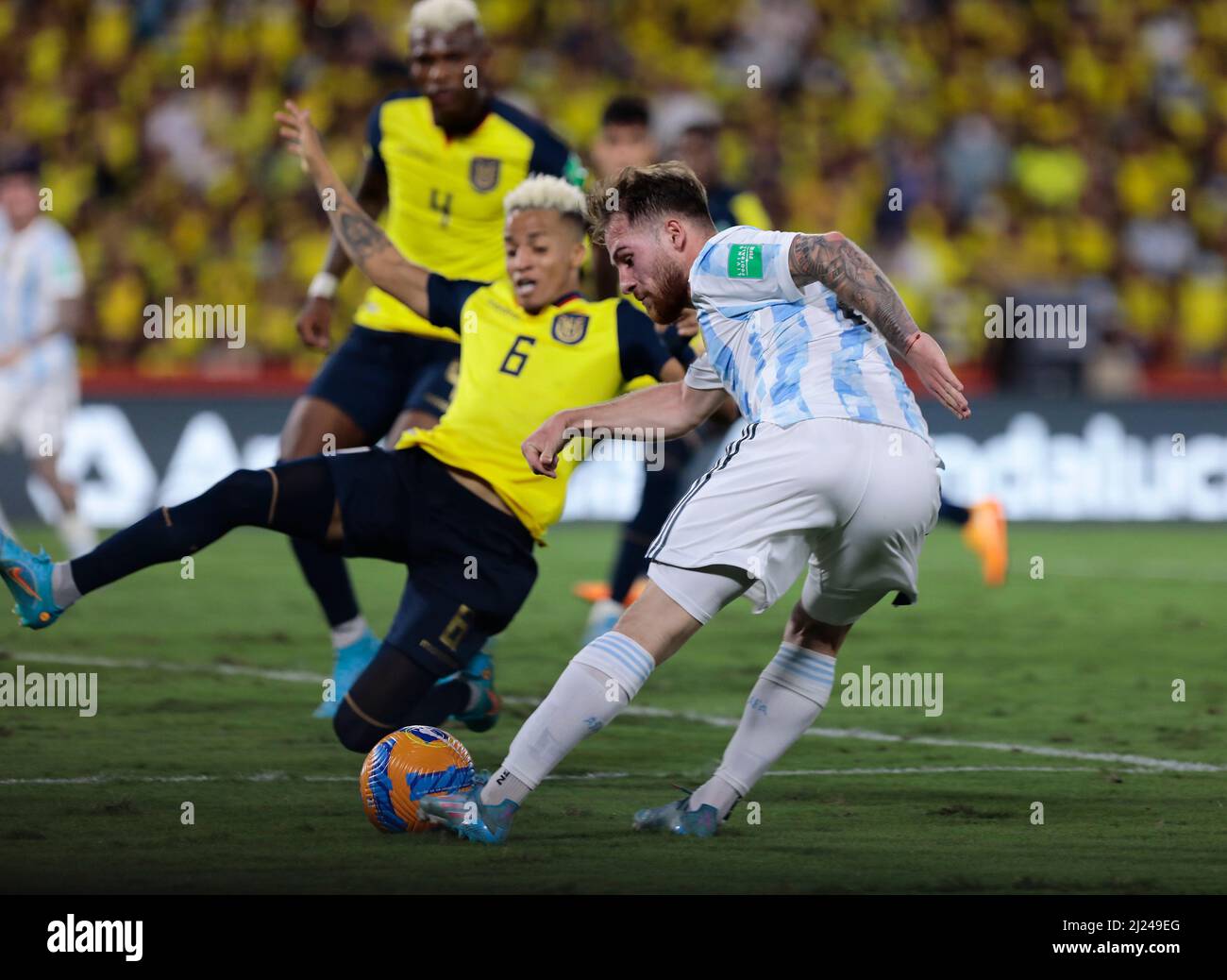 Banco monumental hi-res stock photography and images - Alamy