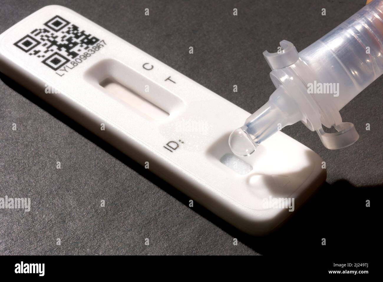 Lateral flow test for Covid-19 Stock Photo - Alamy