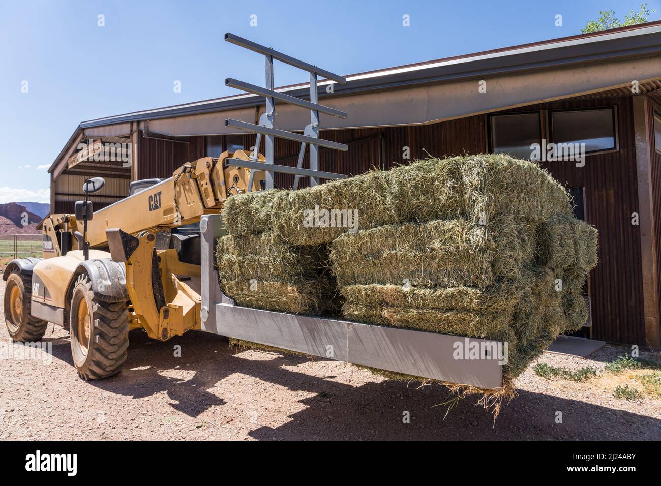 Forklift with a hay squeeze moving bales of hay for loading Stock Photo ...