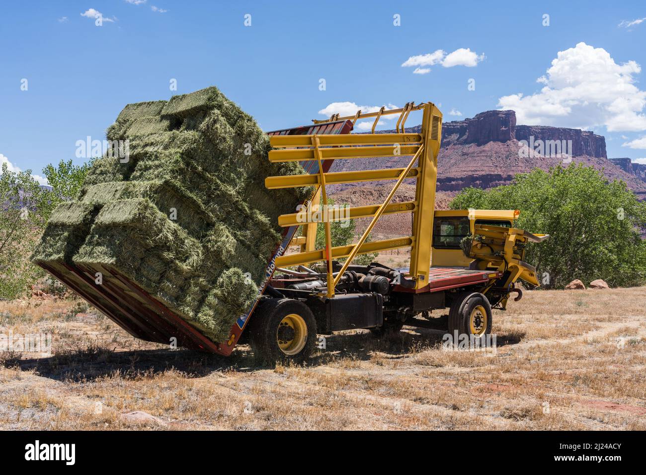 Automatic bale wagon loading hay bales Stock Photo - Alamy